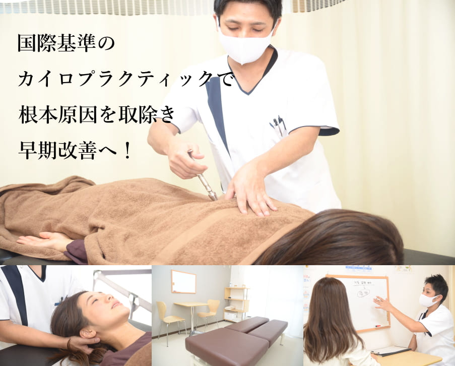 料金メニュー | はらカイロプラクティックセンター｜堺市北区中百舌鳥おすすめ整体
